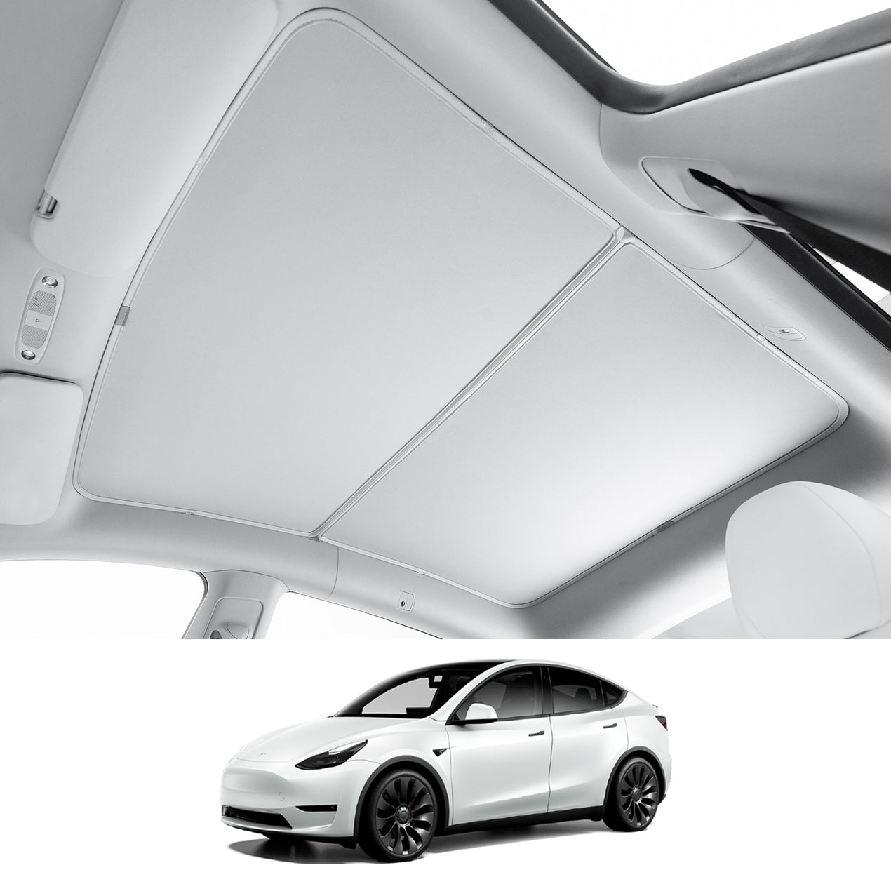 HALOBLK Australia - Premium Tesla aftermarket brand – HALO BLK Store ...