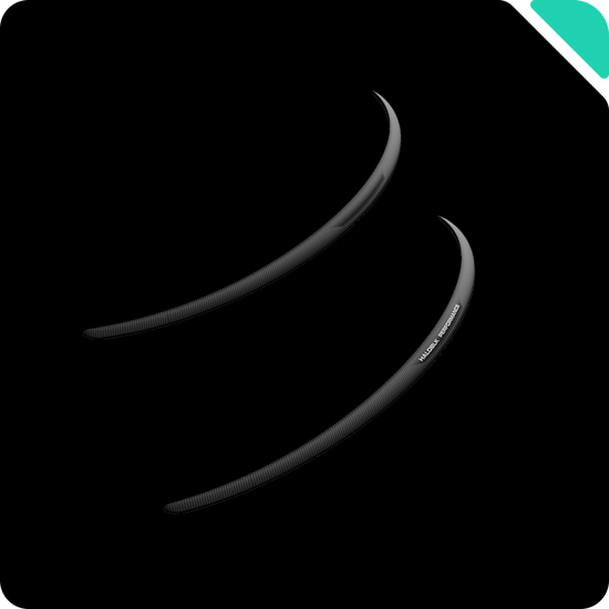 Haloblk Carbon Fibre Spoiler – HALO BLK Store Australia